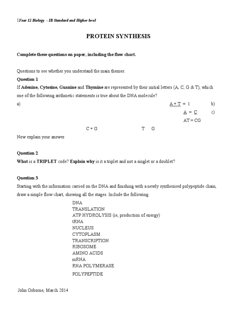 Comprehension Questions - PROTEIN SYNTHESIS | PDF