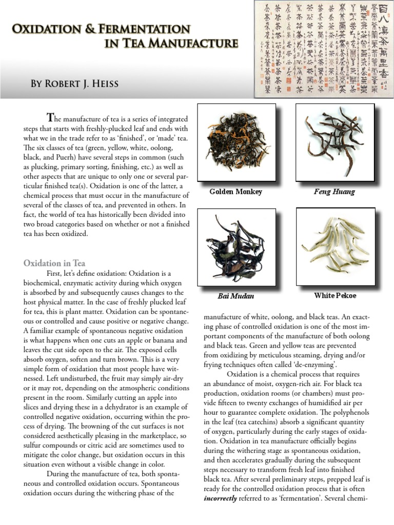 Oxidation and Fermentation in Tea Production | PDF | Tea | Beverages