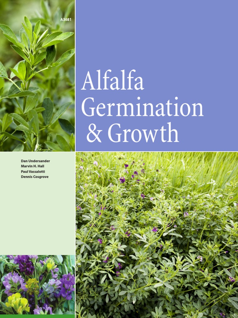 Alfalfa Germination & Growth | Alfalfa | Seed