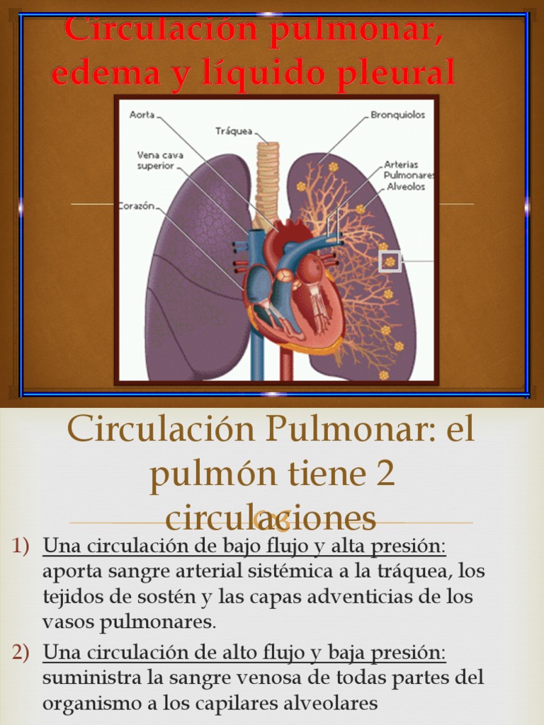 Circulación pulmonar, edema y líquido pleural 38