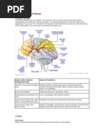 Brain Parts and Mnemonics Guide | PDF | Cerebral Hemisphere | Cerebral ...