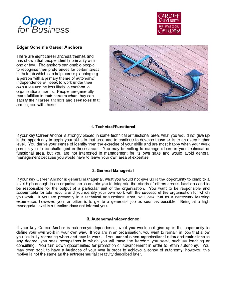 Schein's Eight Career Anchors Explained | PDF | Entrepreneurship | Autonomy