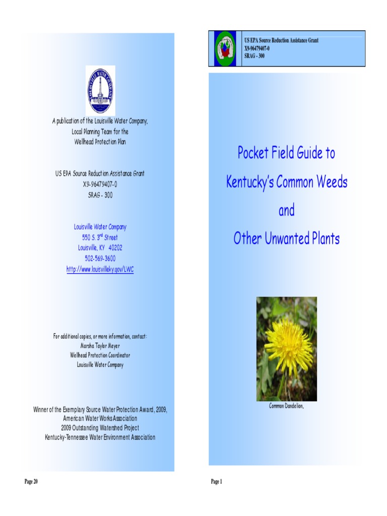 Kentucky Common Weeds Guide | PDF | Introduced Species | Weed
