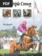 All About Horses | PDF | Pony | Horses