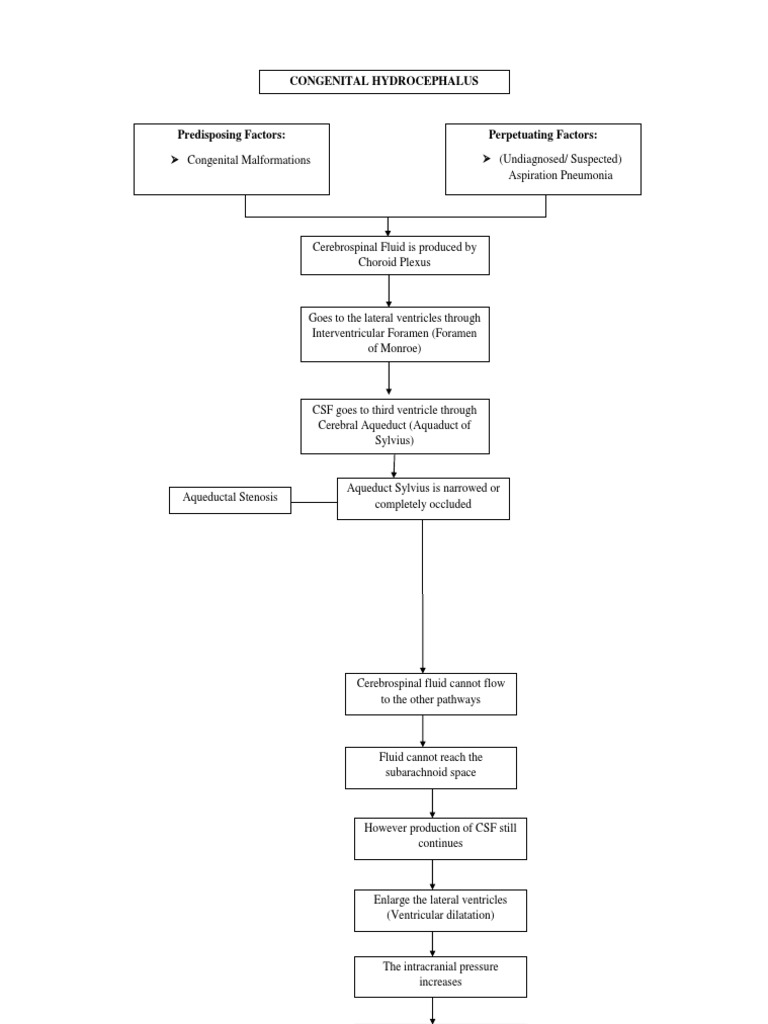 Pathophysiology - Hydrocephalus