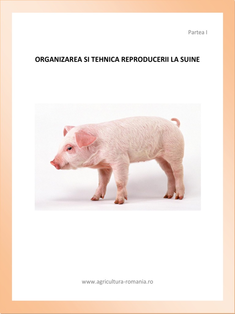 Organizarea Si Tehnica Reproducerii La Suine Ghid