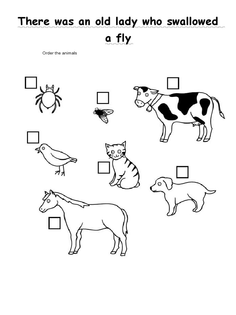There Was An Old Lady Who Swallowed A Fly Worksheets Mrs Lindsey
