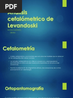Diagrama de Posselt en Oclusión | PDF | Sistema musculoesquelético ...