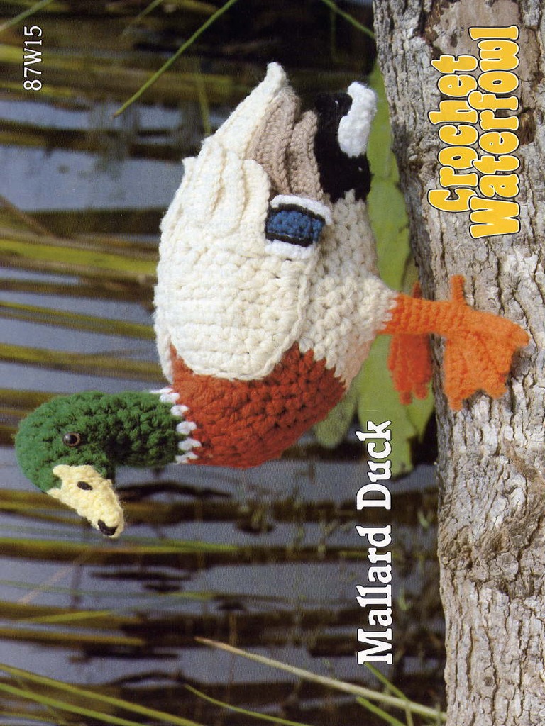 Mallard Duck | PDF