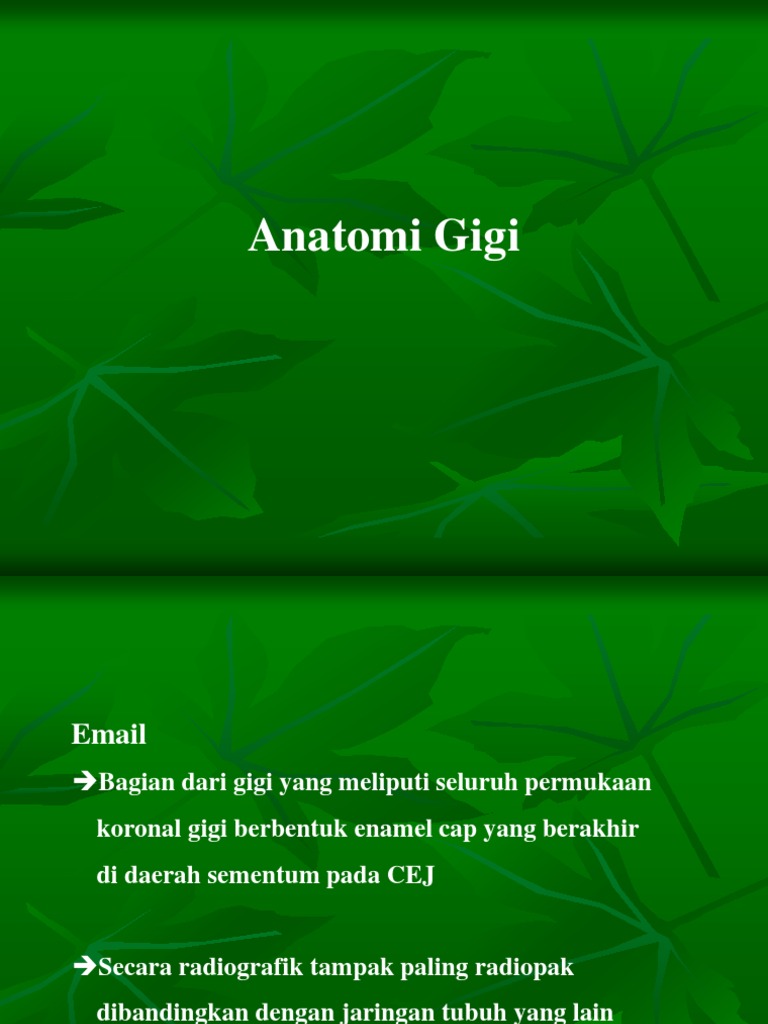 STRUKTUR DAN KOMPONEN UTAMA GIGI | PDF