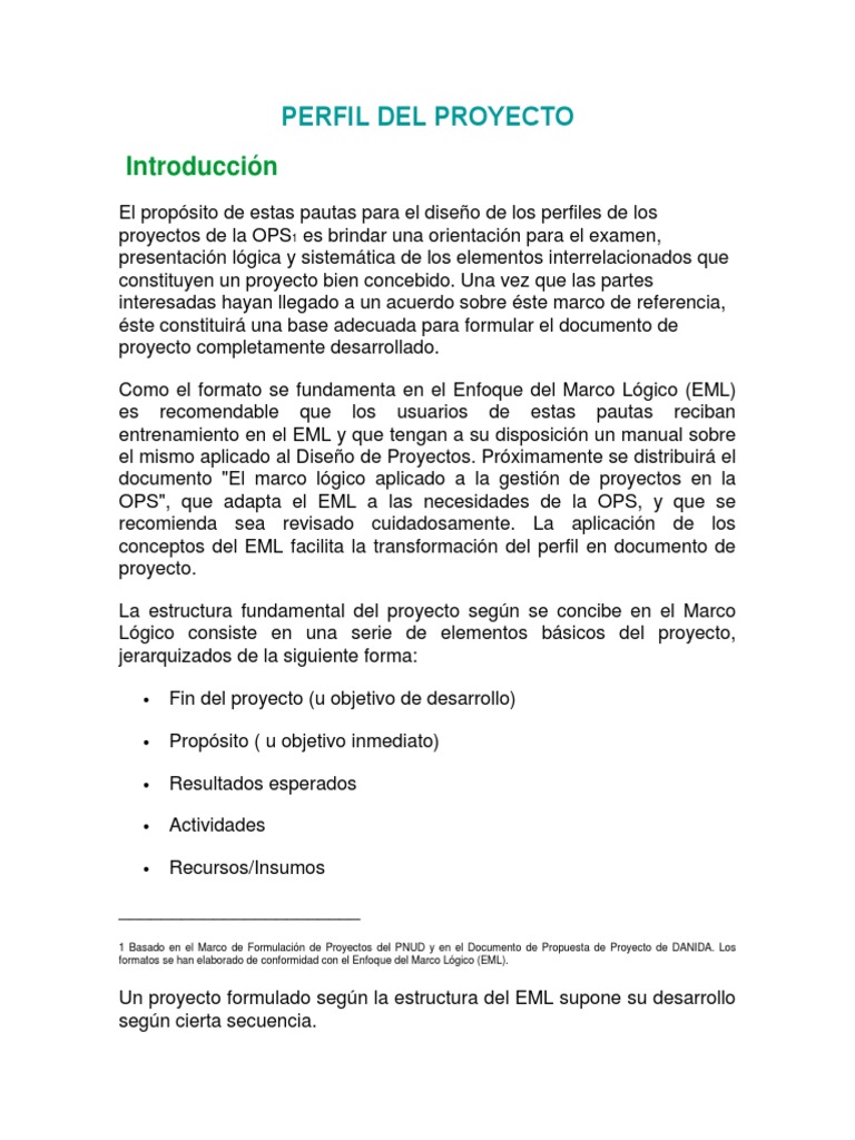 Perfil Del Proyecto | PDF | Organización no gubernamental | Toma de decisiones