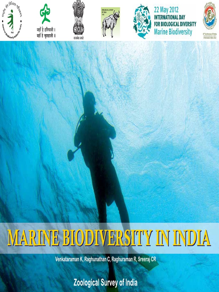 Marine Biodiversity Pdf Coral Sponge