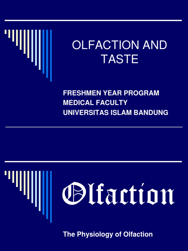 Taste and Smell | PDF | Olfaction | Taste