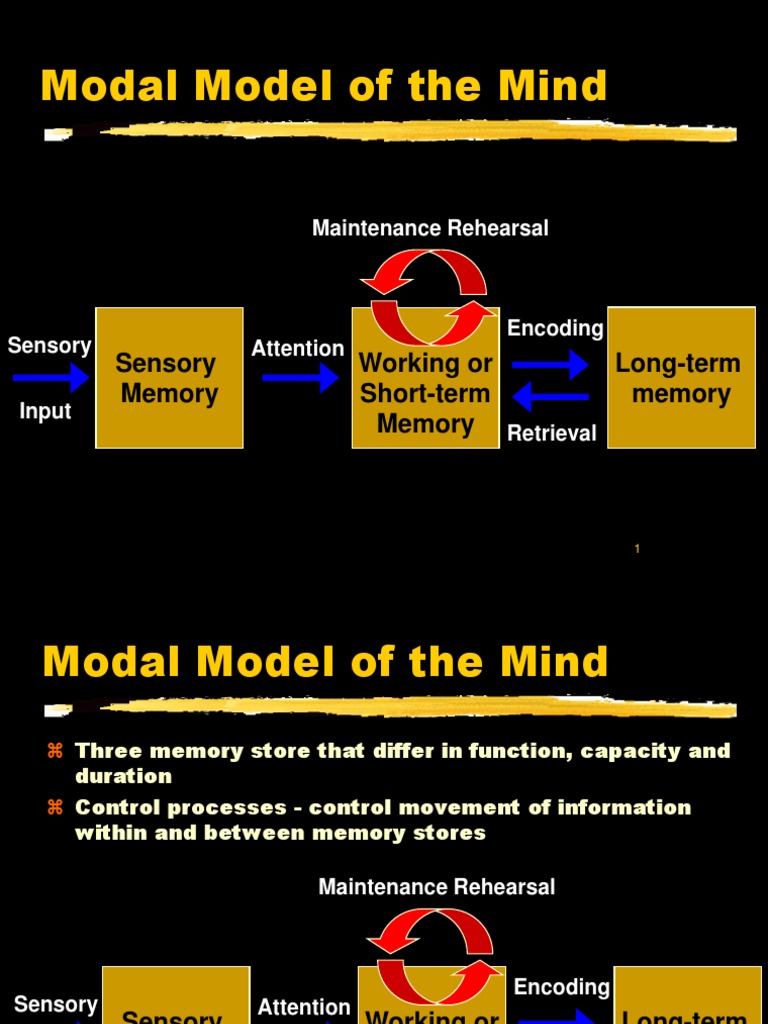 Modal Model of the Mind: Long-term memory Working or Short-term Memory Sensory Memory | Memory ...