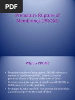Actim PROM Brochure 022018 | PDF | Sensitivity And Specificity ...