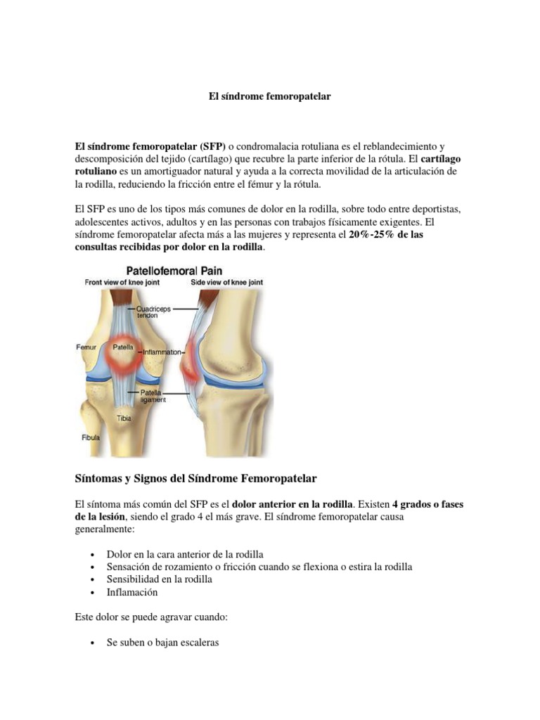 Femoropatelar | PDF | Rodilla | Sistema musculoesquelético