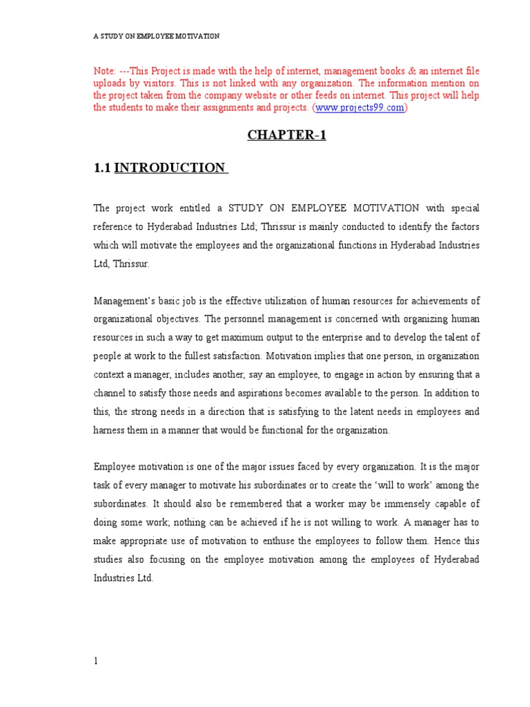 Project On Employee Motivation | PDF | Nature