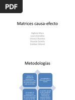Capitulo 9 Matriz de Causa y Efecto | Degradación ambiental | Matriz (Matemáticas)