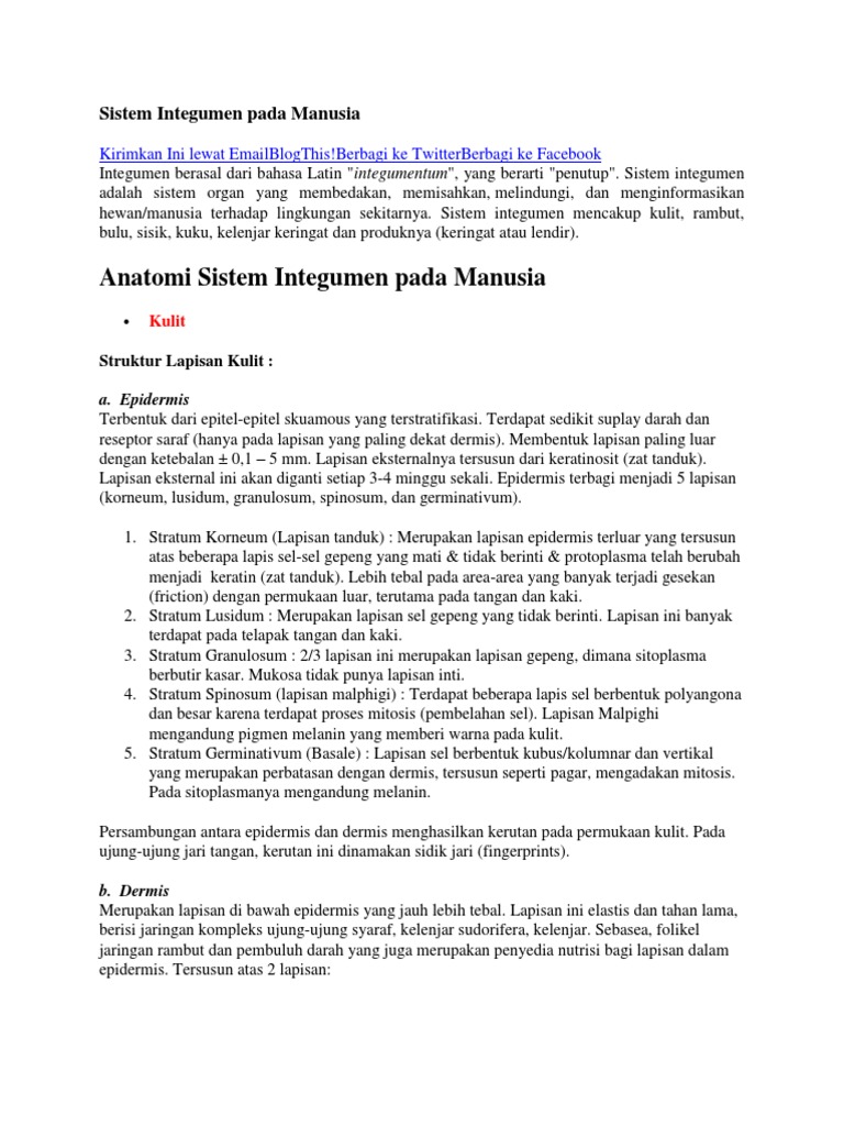 Sistem Integumen Manusia: Struktur & Fungsi | PDF