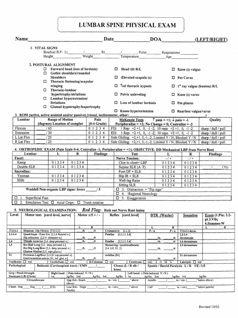 Lumbar Spine Exam | PDF