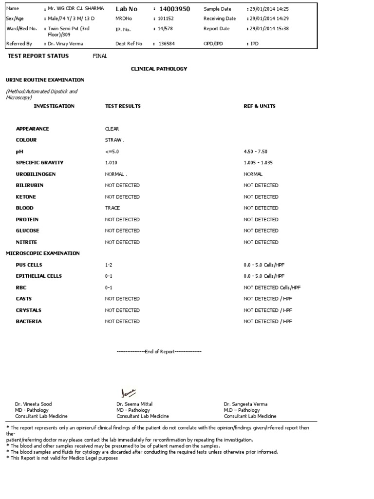 Final: Test Report Status | PDF