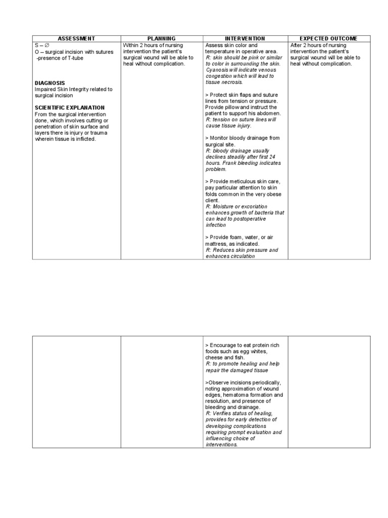 NCP Impaired Skin Integrity | PDF