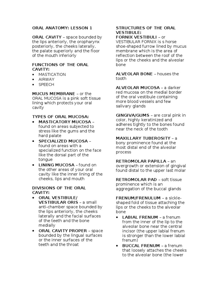 Overview of Oral Anatomy and Cavity | PDF | Lip | Mouth
