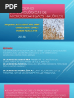 Halobacterium Salinarum | PDF | Bacteriorhodopsin | Fotosíntesis