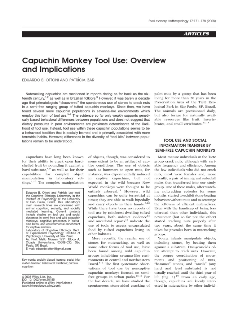 Capuchin Monkey Tool Use: Overview and Implications | PDF | Hominidae ...