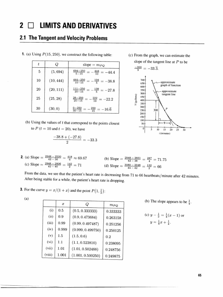 Chapter 2 Answer James Stewart 5th Edition | PDF