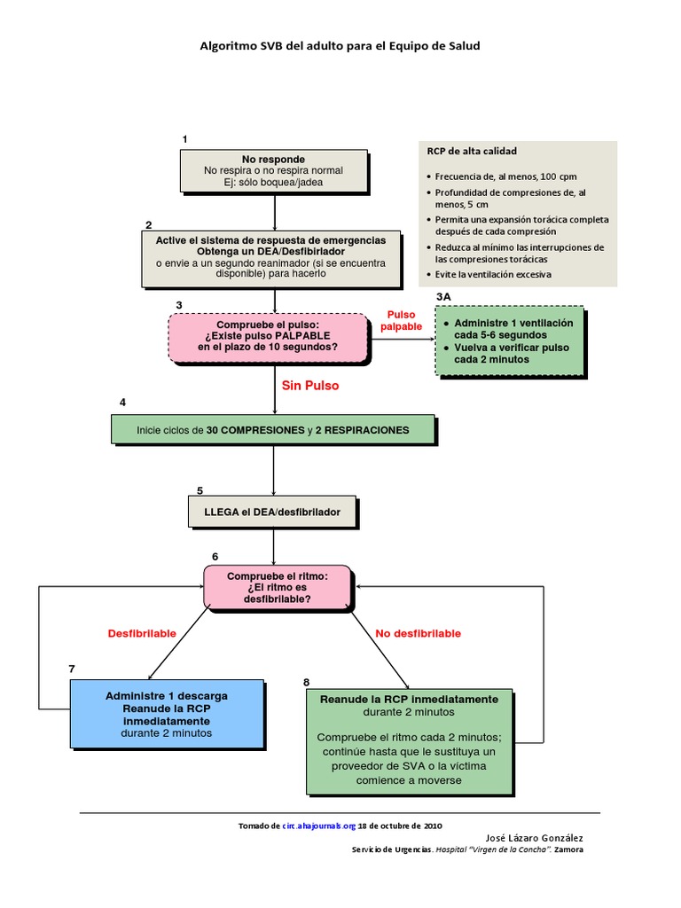 Algoritmo de SVB Del Adulto Para El Equipo de Salud