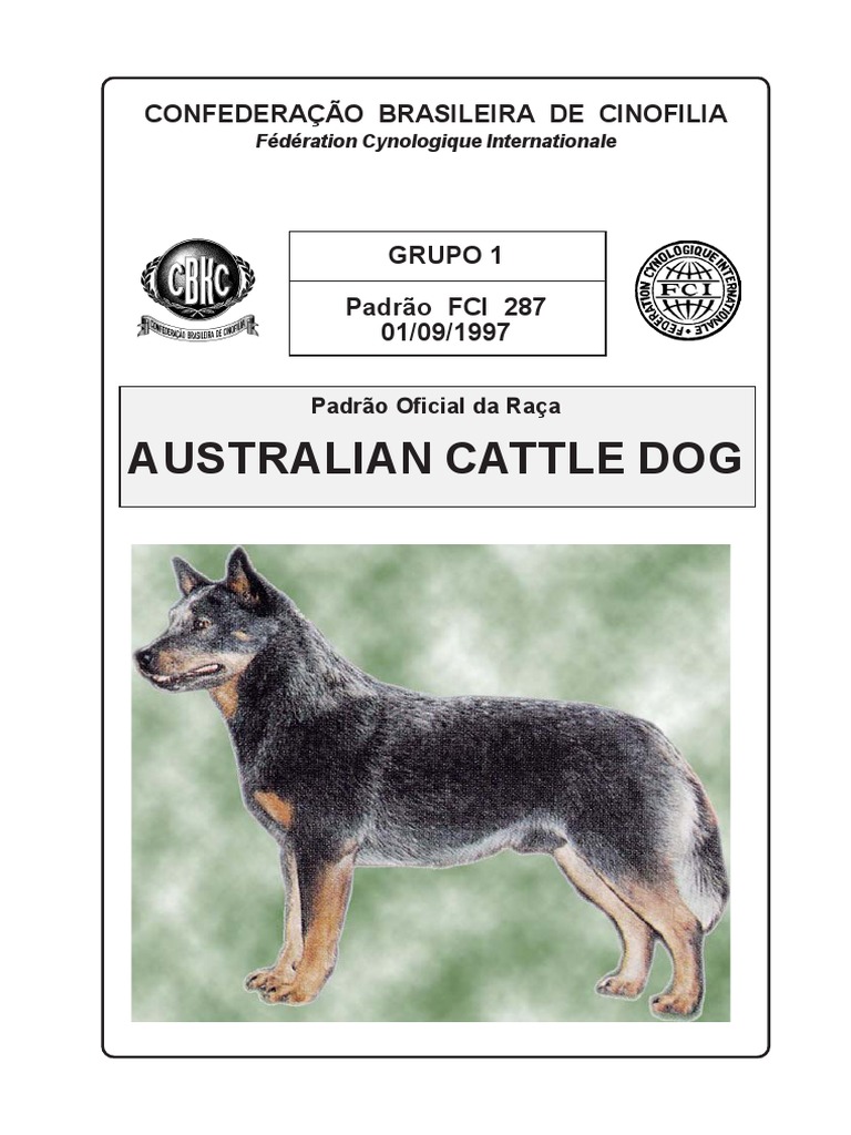 Burriler Características | Cães | Orelha