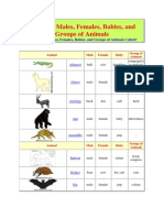 Street Types & Abbreviations: Street Type Street Type | PDF