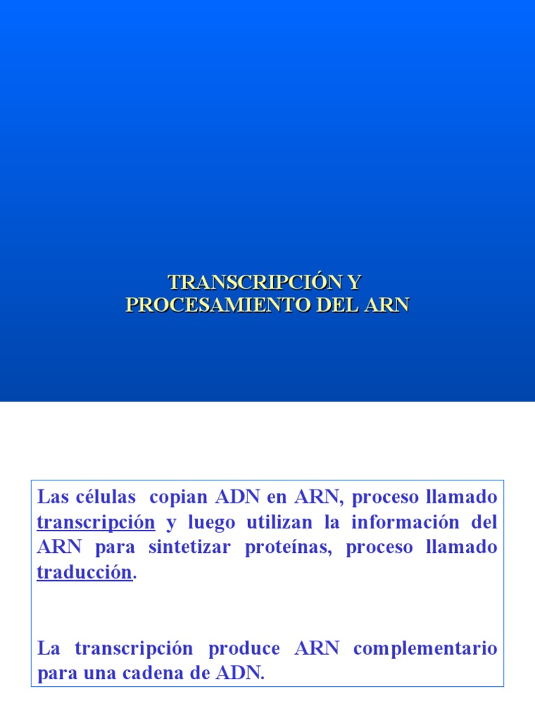 Transcripción Y Procesamiento Del Arn | PDF | Rna | Adn