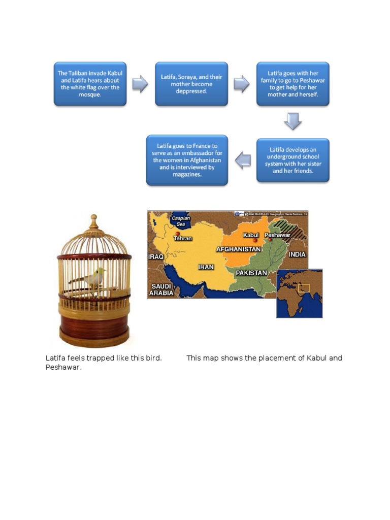 Story Map | PDF