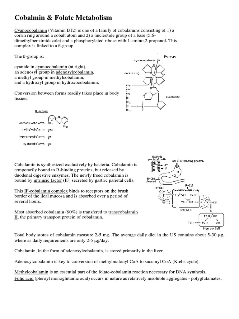 Metabolisme B-12 and Folate | PDF | Vitamin B12 | Folic Acid