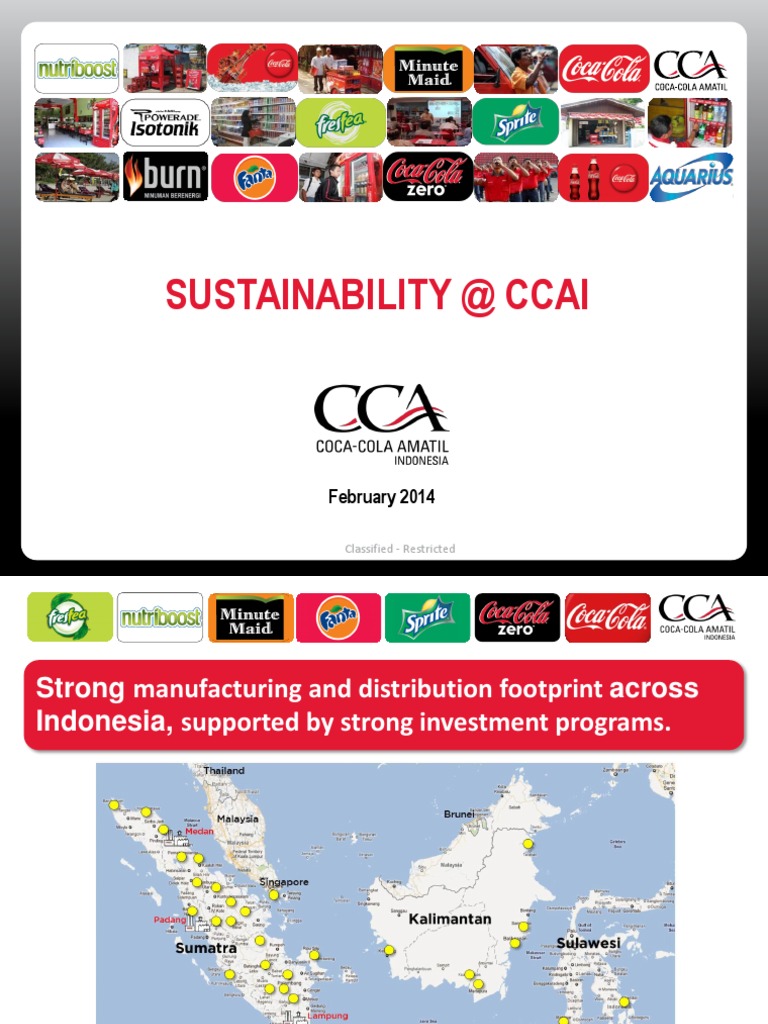 Sustainability CCAI | PDF | Recycling | Sustainability