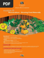 Covo Rugare Gold PLUS | PDF | Fertilizer | Seed