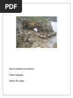 Geography For CSEC | PDF