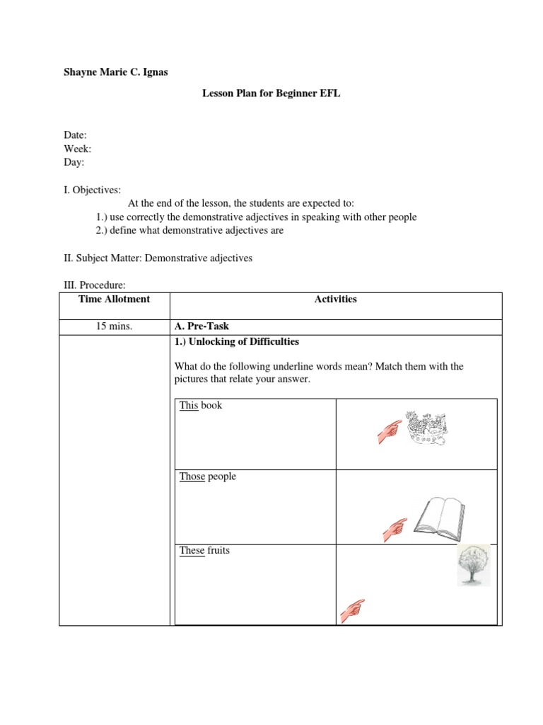 Lesson Plan for Beginner EFL | Lesson Plan | Cognition