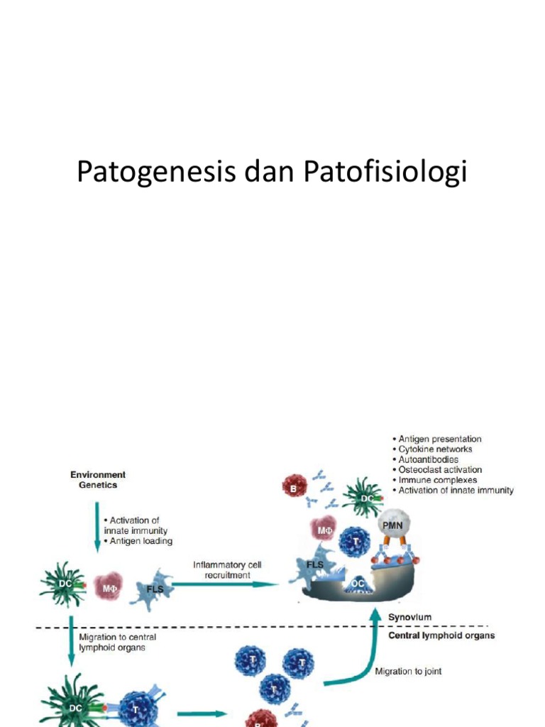 Patogenesis Dan Patofisiologi RA | PDF | Pengembangan Diri
