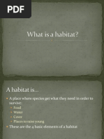 FastBridge aReading Benchmarks 2023-24 | PDF