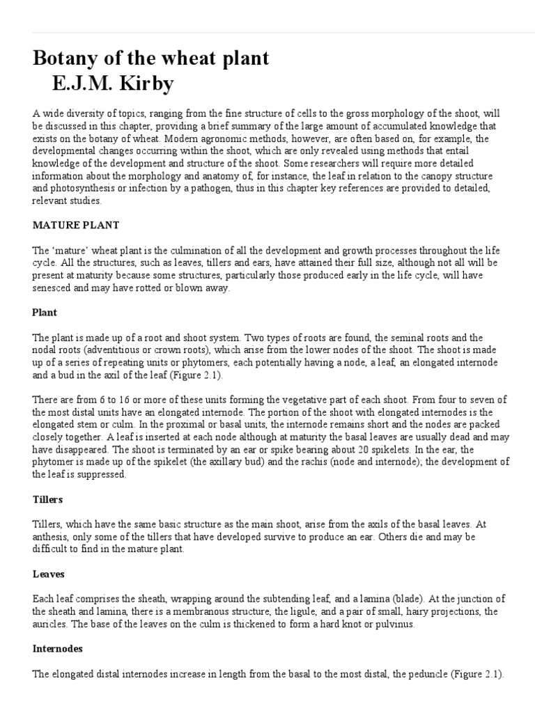 Botany of The Wheat Plant | PDF | Leaf | Seed