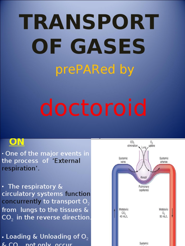 Gas Transport in Respiration Explained | PDF | Blood | Respiratory System