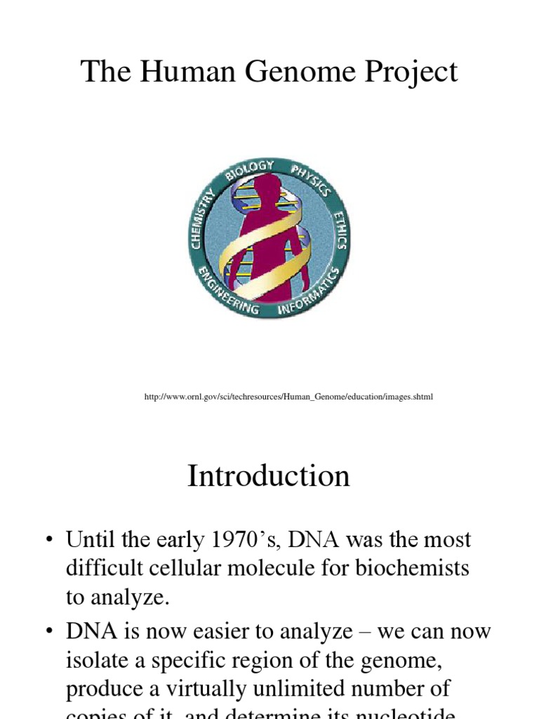 Human Genome Project | Dna Sequencing | Human Genome