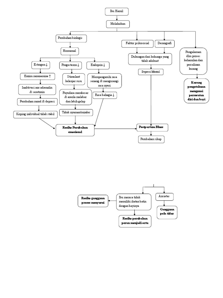 WOC Post Partum Blues | PDF