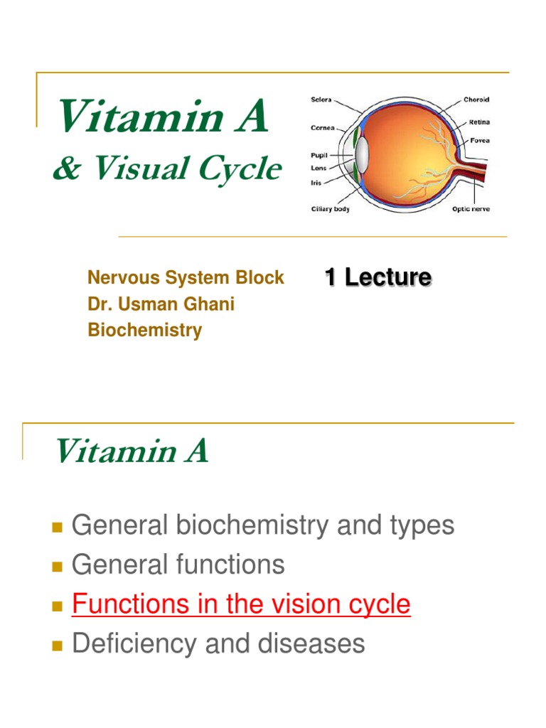 The Role of Vitamin A in Vision and the Visual Cycle: A Biochemistry ...