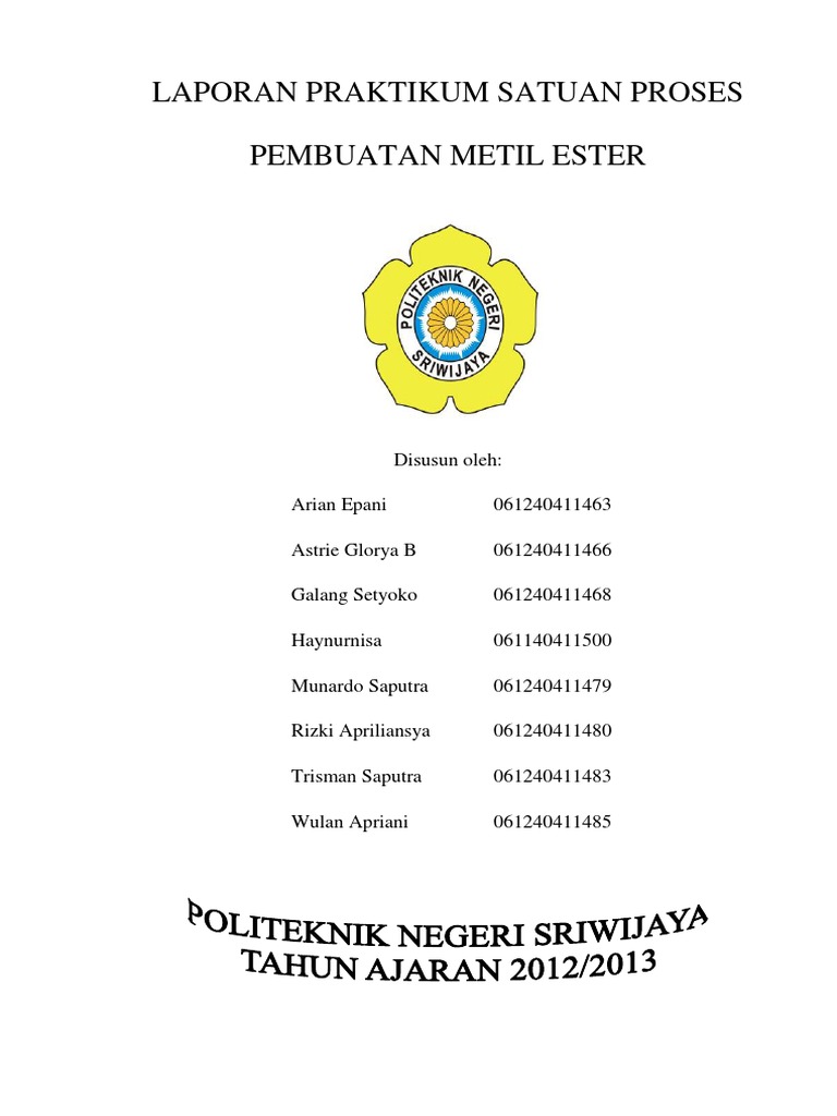 Pembuatan Metil Ester | PDF | Teknologi & Rekayasa