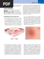 Modified Rodnan Skin Score Overview | PDF | Medicine | Diseases And ...