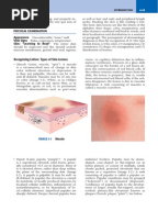 ACR BI-RADS® Atlas Fifth Edition